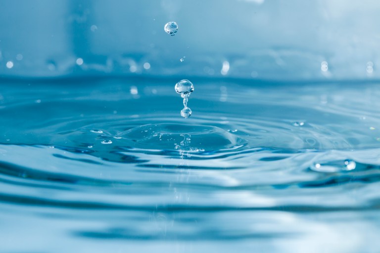 Sister Water – Secular Franciscan Order – Singapore